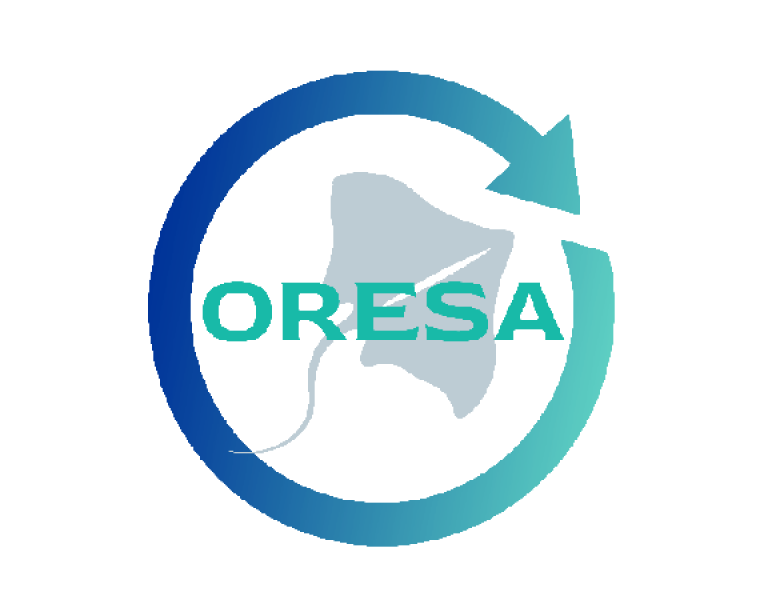 Offshore Renewable Energy Sustainability Alliance (ORESA) | SEAI